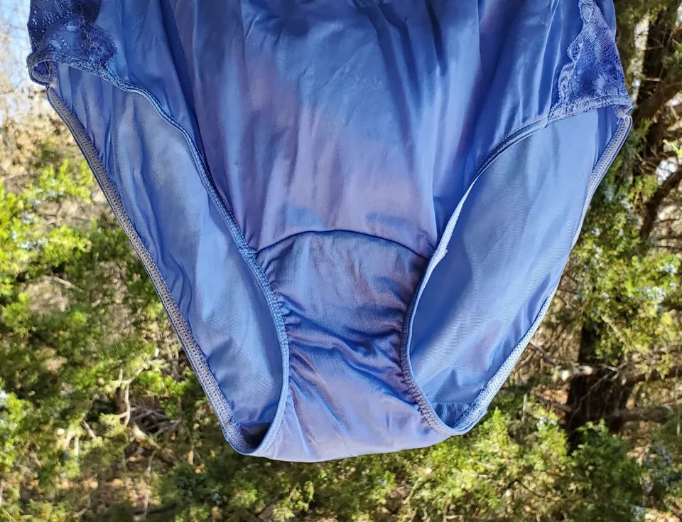 Shadowline Nylon Bikini Panty Lace BLUE Beauty 11182 7036796665920 ...